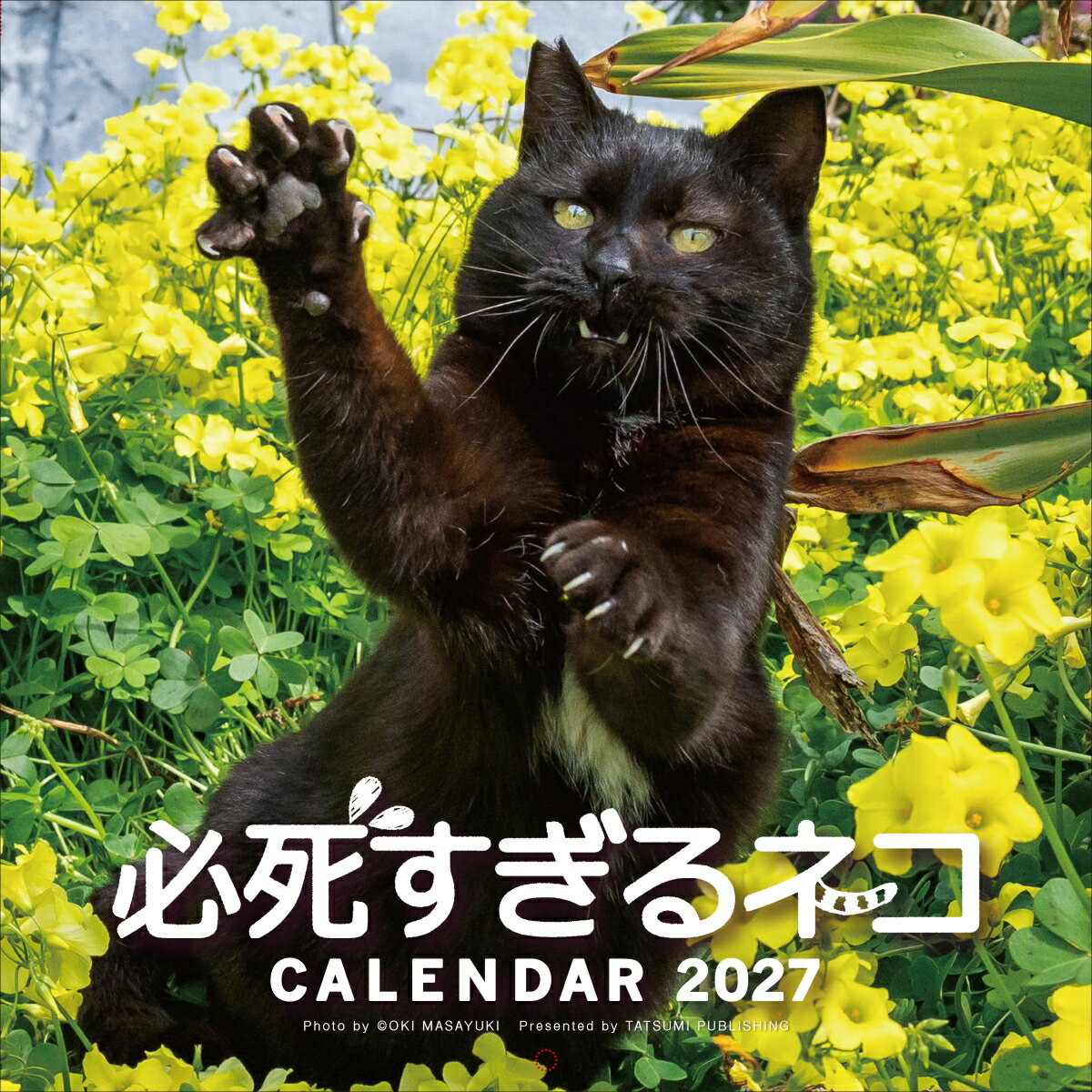 沖　昌之 辰巳出版ニセンニジュウナナ　ヒッシスギルネコカレンダー オキマサユキ 発行年月：2026年09月03日 予約締切日：2026年06月17日 ページ数：13p サイズ：単行本 ISBN：9784777833801 本 カレンダー・手...
