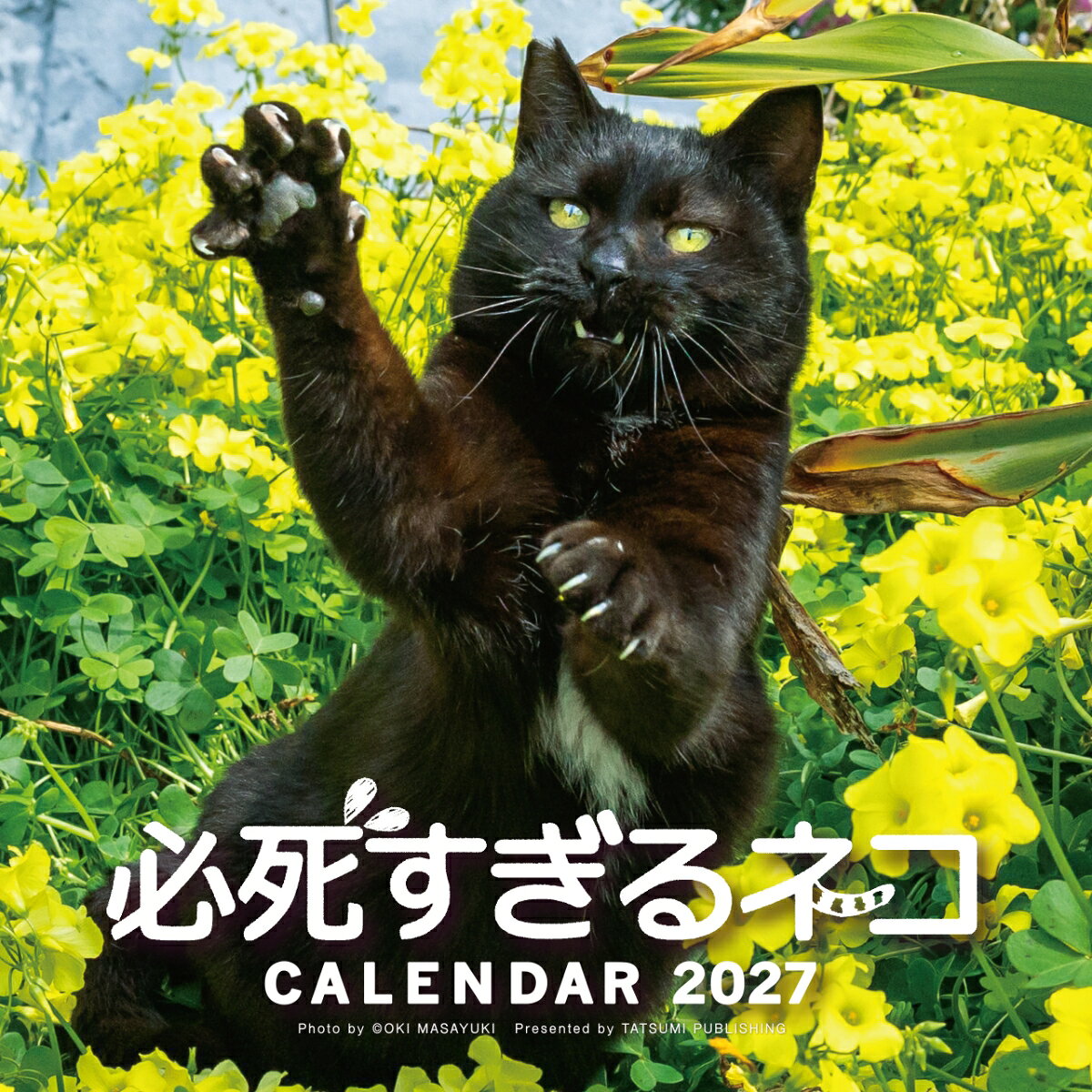 沖　昌之 辰巳出版ニセンニジュウナナ　ヒッシスギルネコカレンダー オキマサユキ 発行年月：2026年09月03日 予約締切日：2026年06月17日 ページ数：13p サイズ：単行本 ISBN：9784777833801 本 カレンダー・手...