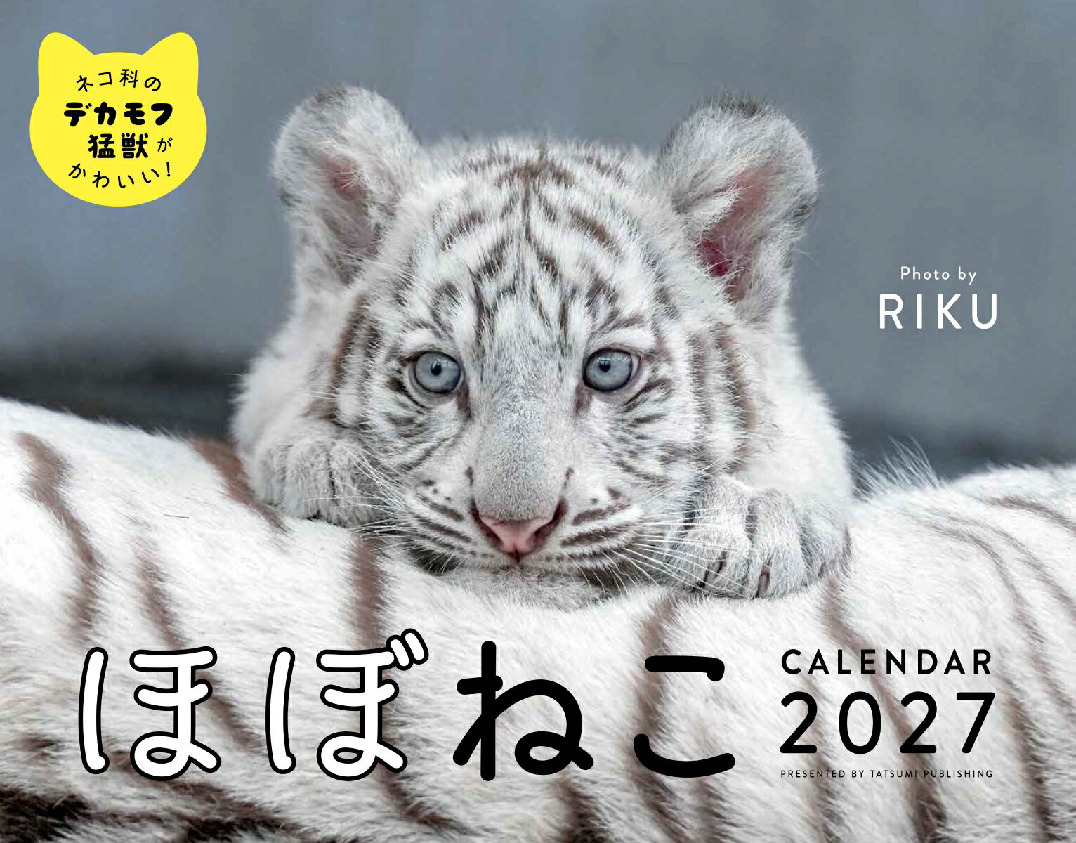 RIKU 辰巳出版ニセンニジュウナナ　ホボネコカレンダー リク 発行年月：2026年09月03日 予約締切日：2026年06月17日 ページ数：28p サイズ：単行本 ISBN：9784777833825 本 カレンダー・手帳・家計簿 カレ...