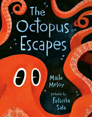 OCTOPUS ESCAPES Maile Meloy Felicita Sala PUTNAM YOUNG READERS2023 Board　Books English ISBN：9780593533970 洋書 Books for k...