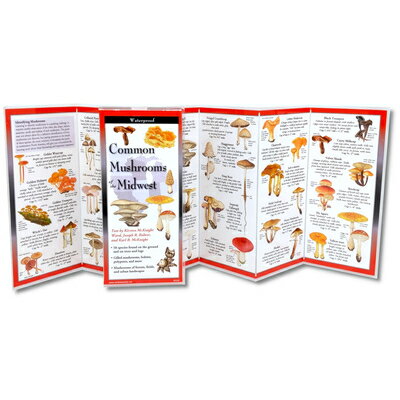 COMMON MUSHROOMS OF THE MIDWES Kirsten McKnight Ward R. Rohrer Joseph B. McKnight Karl EARTH SKY + WATER2021 Other Engli...