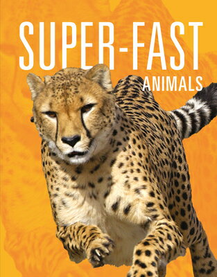 SUPERーFAST ANIMALS Meg Greve BLACK RABBIT BOOKS2025 Paperback English ISBN：9781645824008 洋書 Books for kids（児童書） Juvenile...
