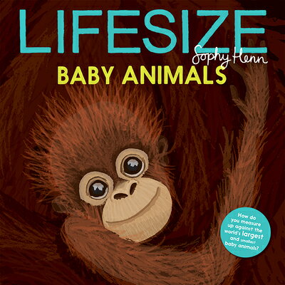 LIFESIZE BABY ANIMALS Sophy Henn EDC KANE MILLER BOOKS2022 Hardcover English ISBN：9781684644032 洋書 Books for kids（児童書） J...