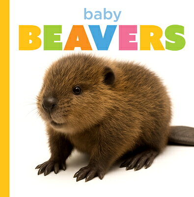 BABY BEAVERS Starting Out: Baby Animals Graham Morgan CREATIVE EDUCATION2026 Library　Binding English ISBN：9798895814048 ...