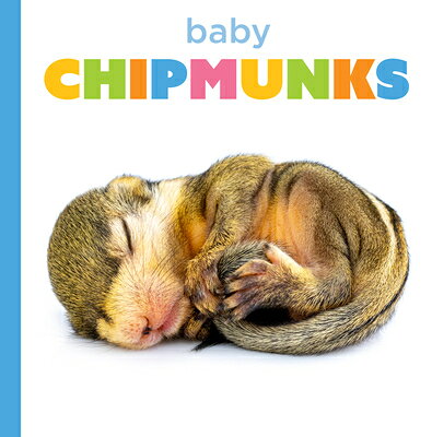 BABY CHIPMUNKS Starting Out: Baby Animals Graham Morgan CREATIVE EDUCATION2026 Library　Binding English ISBN：979889581405...
