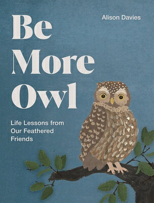 BE MORE OWL Be More... Alison Davies QUADRILLE2025 Hardcover English ISBN：9781837834068 洋書 Social Science（社会科学） Body, Mi...
