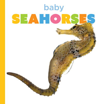 BABY SEAHORSES Starting Out: Baby Animals Graham Morgan CREATIVE EDUCATION2026 Library　Binding English ISBN：979889581408...
