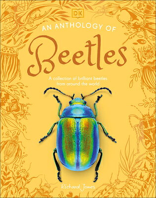 ANTHOLOGY OF BEETLES DK Little Anthologies Richard Jones DK PUB2026 Hardcover English ISBN：9798217134090 洋書 Books for ki...