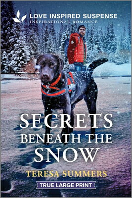 SECRETS BENEATH THE SNOW ーLP O Teresa Summers HQN BOOKS2025 Paperback Original English ISBN：9781335484116 洋書 Fiction & L...