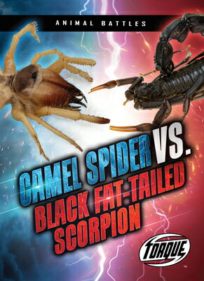 CAMEL SPIDER VS BLACK FATーTAIL Animal Battles Nathan Sommer TORQUE2025 Paperback English ISBN：9798893044133 洋書 Books for...
