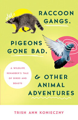 RACCOON GANGS PIGEONS GONE BAD Trish Ann Konieczny HARVEST HOUSE PUBL2022 Paperback English ISBN：9780736984171 洋書 Social...