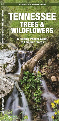 TENNESSEE TREES & WILDFLOWERS Nature Observation North America James Kavanagh Waterford Press Raymond Leung WATERFORD PR...
