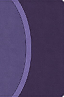 CSB RAINBOW STUDY BIBLE PURPLE Csb Bibles by Holman HOLMAN A J2025 Imitation　Leather English ISBN：9798384534235 洋書 NonーC...