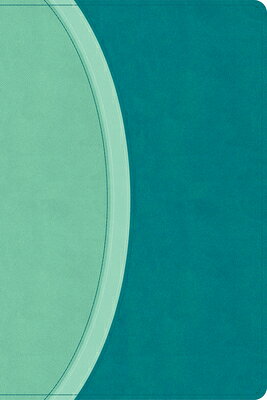 CSB RAINBOW STUDY BIBLE TEAL L Csb Bibles by Holman HOLMAN A J2025 Imitation　Leather English ISBN：9798384534242 洋書 NonーC...