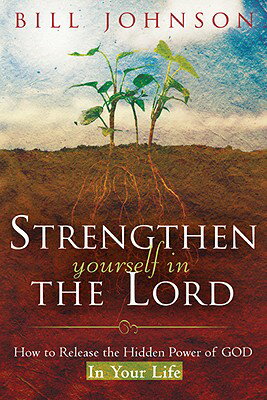 STRENGTHEN YOURSELF IN THE LOR Bill Johnson DESTINY IMAGE INC2007 Paperback English ISBN：9780768424270 洋書 Social Science...