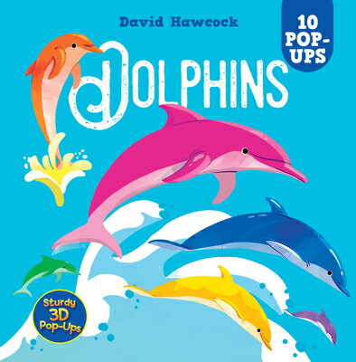 POP UPーDOLPHINS David Hawcock FOX CHAPEL PUB CO INC2025 Hardcover English ISBN：9781641244282 洋書 Books for kids（児童書） Juve...
