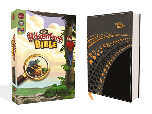 NKJV ADV BIBLE LEATHERSOFT GRA Adventure Bible Lawrence O. Richards ZONDERVAN2023 Imitation　Leather English ISBN：9780310...