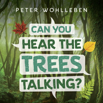 CAN YOU HEAR THE TREES TALKING Peter Wohlleben GREYSTONE KIDS2019 Hardcover English ISBN：9781771644341 洋書 Books for kids...