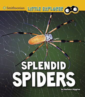SPLENDID SPIDERS Little Entomologist 4D Melissa Higgins PEBBLE BOOKS2020 Hardcover English ISBN：9781977114341 洋書 Books f...