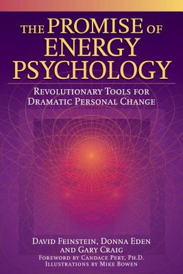 PROMISE OF ENERGY PSYCHOLOGY David Feinstein TARCHER JEREMY PUBL2005 Paperback English ISBN：9781585424429 洋書 Social Scie...