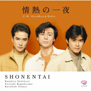 少年隊ジョウネツノイチヤ ショウネンタイ 発売日：2013年07月03日 予約締切日：2013年06月29日 JOUNETSU NO ICHIYA JAN：4571601004439 LCCNー321 (株)ストームレーベルズ (株)ソニー...