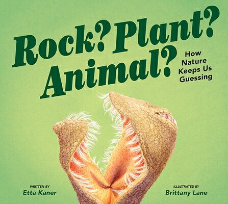 ROCK PLANT ANIMAL Etta Kaner Brittany Lane OWLKIDS BOOKS2022 Hardcover English ISBN：9781771474443 洋書 Books for kids（児童書）...