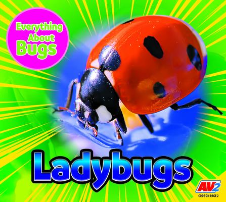 LADYBUGS Everything about Bugs Aaron Carr AV22022 Paperback English ISBN：9781791144449 洋書 Computers & Science（コンピューター＆科学...