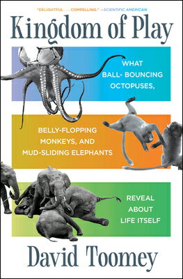 KINGDOM OF PLAY David Toomey SCRIBNER BOOKS CO2025 Paperback English ISBN：9781982154479 洋書 Computers & Science（コンピューター＆科...