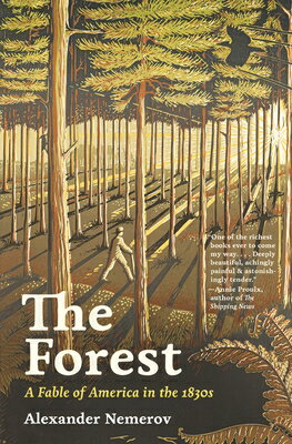 FOREST Alexander Nemerov PRINCETON UNIV PR2024 Paperback English ISBN：9780691264523 洋書 Fiction & Literature（小説＆文芸） Fiction