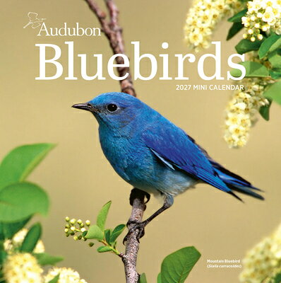 AUDUBON BLUEBIRDS MINI WALL CA National Audubon Society Workman Calendars WORKMAN PR2026 Mini English ISBN：9781523534524...