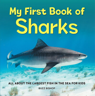 MY FBO SHARKS My First Book of Buzz Bishop ROCKRIDGE PR2022 Paperback English ISBN：9781685394530 洋書 Books for kids（児童書） ...