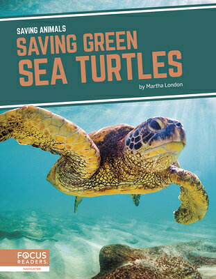 SAVING GREEN SEA TURTLES Martha London FOCUS READERS2021 Paperback English ISBN：9781644934623 洋書 Books for kids（児童書） Juv...