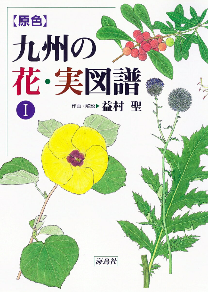 【原色】 益村 聖 海鳥社キュウシュウ ノ ハナ ミ ズフ イチ マスムラ サトシ 発行年月：2003年03月15日 予約締切日：2003年03月14日 ページ数：126p サイズ：図鑑 ISBN：9784874154687 本 科学・技術...