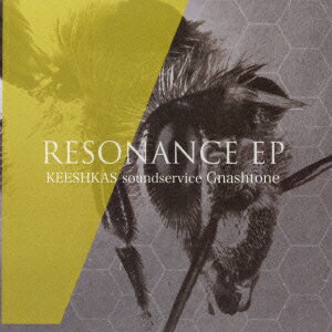 KEESHKAS soundservice Gnashtoneレゾナンス イーピー 発売日：2013年06月05日 RESONANCE EP JAN：4526180134688 FULRー5 A FULCURUM RECORDS (株)ウル...