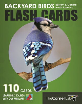 BACKYARD BIRDS FLASH CARDS ー E Cornell Lab of Ornithology Cornell Lab of Ornithology PRINCETON UNIV PR2020 Other English...