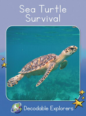 SEA TURTLE SURVIVAL Red Rocket (Tm) Readers Decodable Explorers Rachel Walker RED ROCKET READERS2025 Paperback English I...