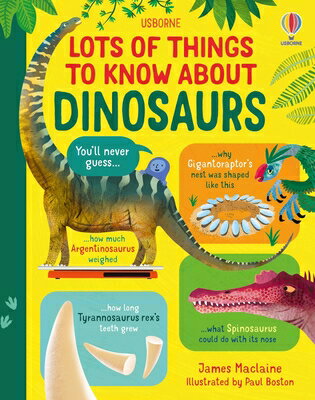 LOTS OF THINGS TO KNOW ABT DIN Lots of Things to Know James MacLaine Paul Boston USBORNE BOOKS2025 Hardcover English ISB...