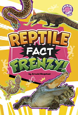 REPTILE FACT FRENZY Fact Frenzy Arnold Ringstad CAPSTONE PR2026 Paperback English ISBN：9798875254758 洋書 Books for kids（児...