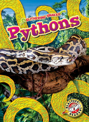 PYTHONS Slithering Snakes Joanne Mattern BLASTOFF READERS2025 Library　Binding English ISBN：9798893044775 洋書 Books for ki...
