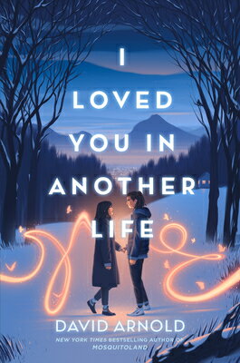 I LOVED YOU IN ANOTHER LIFE David Arnold VIKING BOOKS FOR YOUNG READERS2023 Hardcover English ISBN：9780593524787 洋書 Nonー...