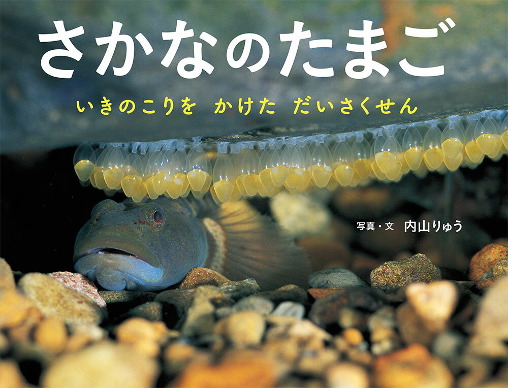 いきのこりを　かけた　だいさくせん ふしぎいっぱい写真絵本　31 内山　りゅう ポプラ社サカナノタマゴ ウチヤマリュウ 発行年月：2017年07月18日 予約締切日：2017年07月17日 ページ数：37p サイズ：絵本 ISBN：9784...