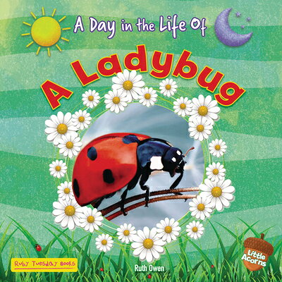 LADYBUG A Day in the Life of (Little Acorns) Ruth Owen RUBY TUESDAY BOOKS2024 Library　Binding English ISBN：9781788564984...