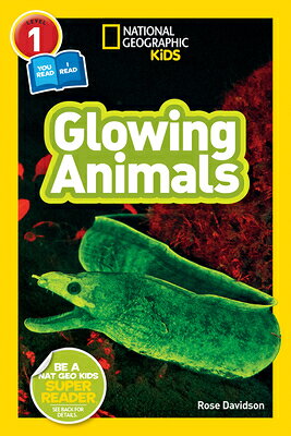 GLOWING ANIMALS (NATIONAL GEOG National Geographic Kids Readers Rose Davidson National Geographic Kids NATL GEOGRAPHIC S...