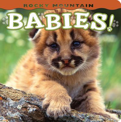 ROCKY MOUNTAIN BABIESーBOARD Babies! (Farcountry Press) Wendy Shattil Bob Rozinski FARCOUNTRY PR2009 Board　Books English ...