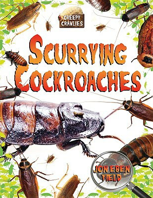 SCURRYING COCKROACHES Creepy Crawlies Jon Eben Field CRABTREE PUB2010 Hardcover English ISBN：9780778725022 洋書 Books for ...