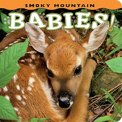 SMOKY MOUNTAIN BABIESーBOARD Babies! (Farcountry Press) Ann Simpson Rob Simpson FARCOUNTRY PR2011 Board　Books English ISB...