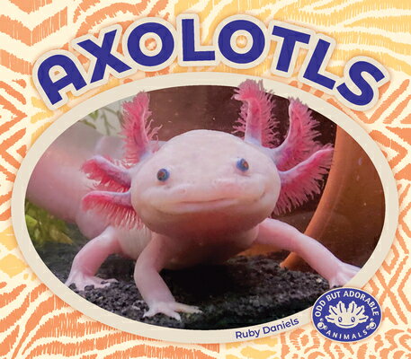AXOLOTLS Odd But Adorable Animals Ruby Daniels BIG BUDDY BOOKS2024 Library　Binding English ISBN：9781098295103 洋書 Books f...
