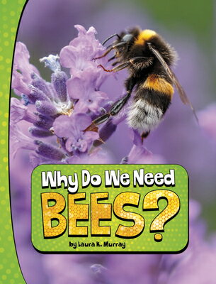 WHY DO WE NEED BEES Nature We Need Laura K. Murray PEBBLE BOOKS2023 Paperback English ISBN：9780756575144 洋書 Books for ki...