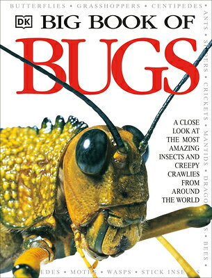 BBO BUGS DK Big Books DK DK PUB2000 Hardcover English ISBN：9780789465207 洋書 Books for kids（児童書） Juvenile Nonfiction