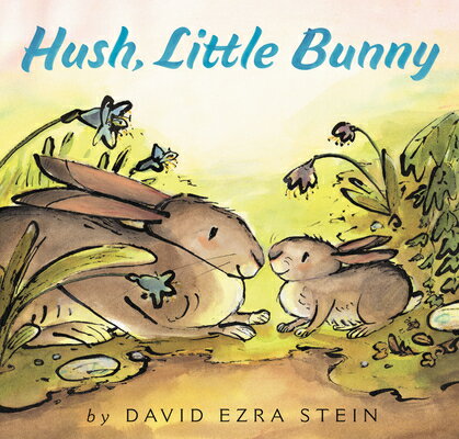 HUSH LITTLE BUNNY David Ezra Stein David Ezra Stein BALZER & BRAY2019 Hardcover English ISBN：9780062845221 洋書 Books for ...